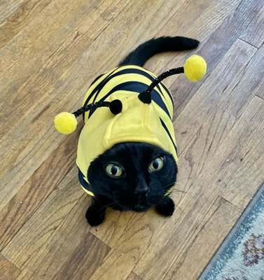 OREGON HUMANE SOCIETY - Updated November 2024 - 146 Photos & 226 ...