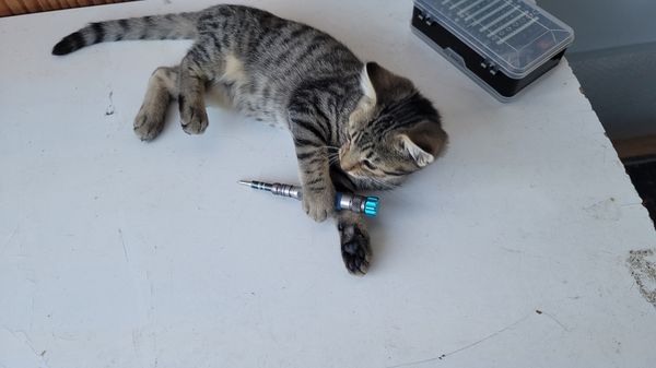 IT’S BINH REPAIRED - Updated October 2025 - 94 Photos & 610 Reviews ...