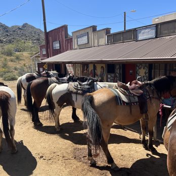 PONDEROSA STABLES - Updated May 2024 - 219 Photos & 183 Reviews - 10215 ...