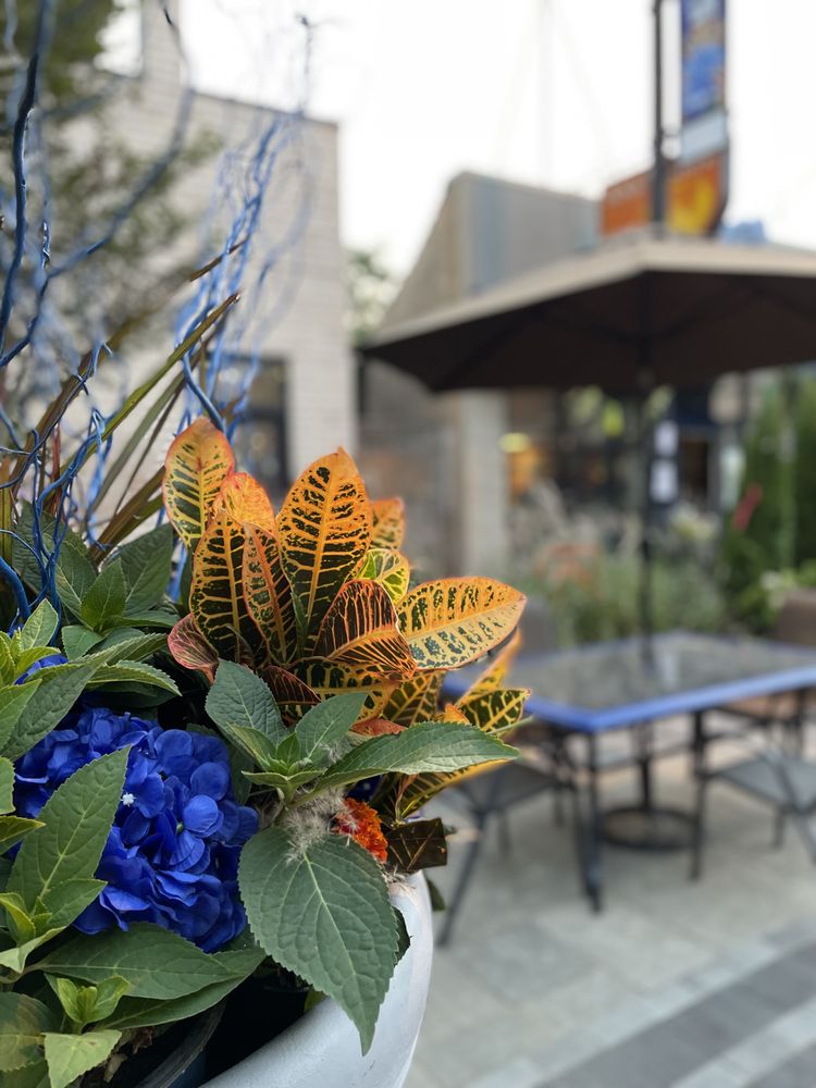 PATCH LANDSCAPING & SNOW REMOVAL - Updated January 2026 - 51 Photos ...