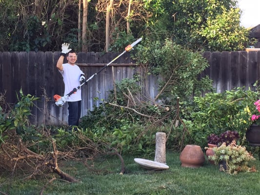 AMAZING LAWN SERVICE - Updated December 2025 - 34 Photos & 22 Reviews ...