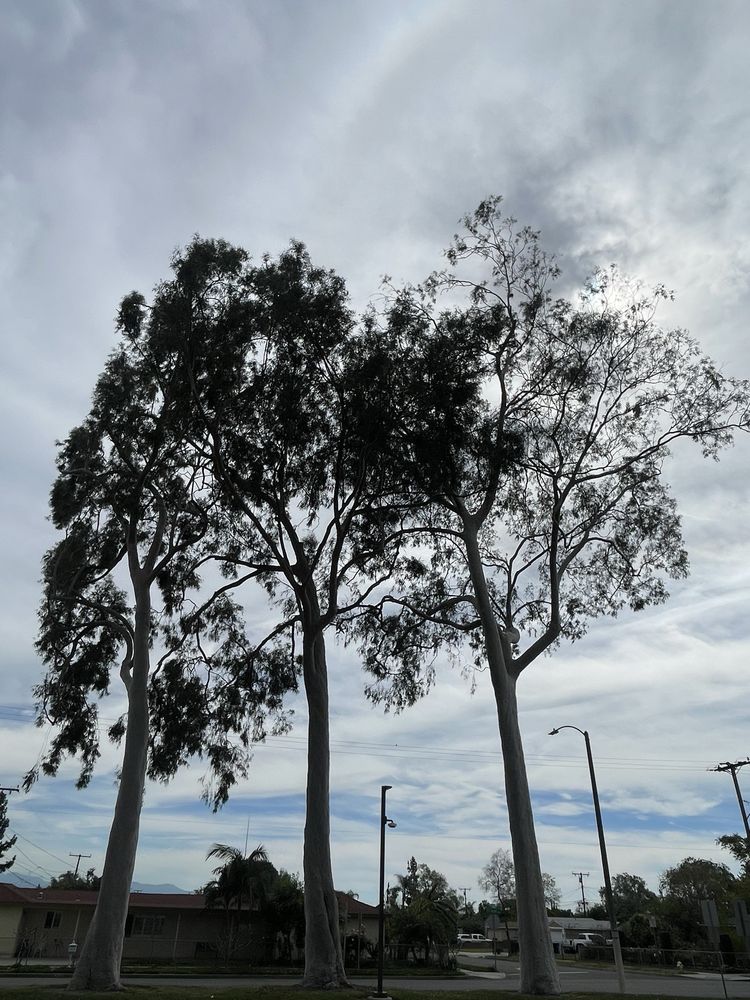 JAMES GALANIS PARK - Updated April 2026 - 21 Photos - 1259 E D St ...