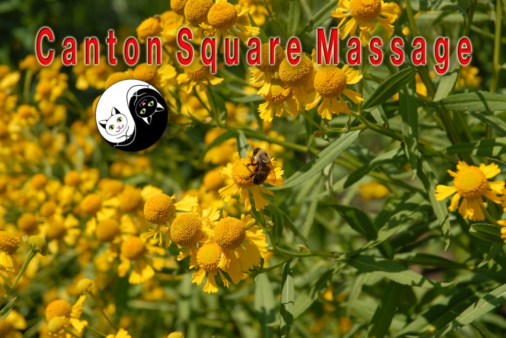 CANTON SQUARE MASSAGE - Updated December 2025 - 18 Reviews - 2901 East ...