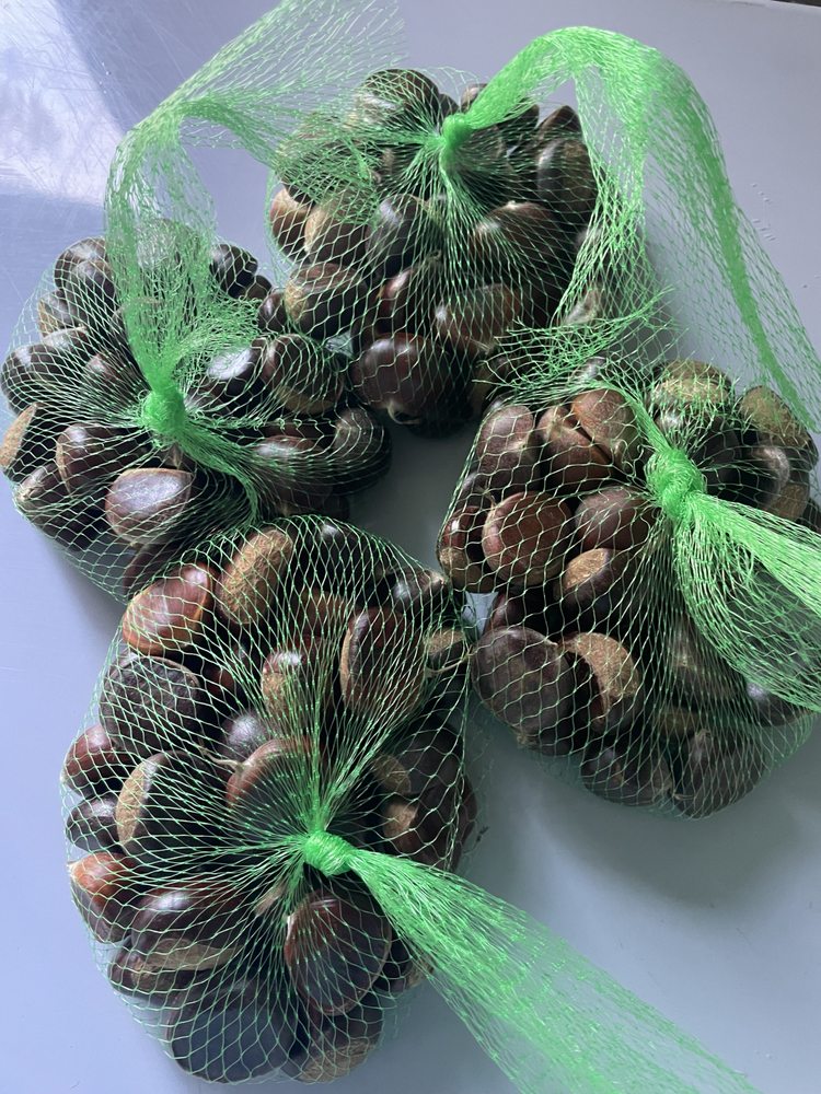 FARM HER CHESTNUT GROVE - Updated July 2025 - 100 Photos - 18940 83rd ...