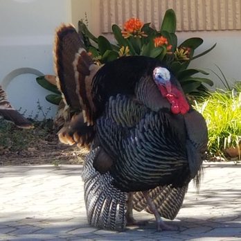 PLEASANTON LIBRARY - Updated October 2025 - 150 Photos & 105 Reviews ...