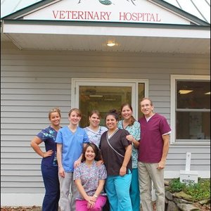 PORT CITY VETERINARY REFERRAL HOSPITAL - Updated January 2025 - 19 ...