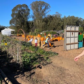 CRYSTAL BAY FARM - Updated October 2025 - 162 Photos & 76 Reviews - 40 ...