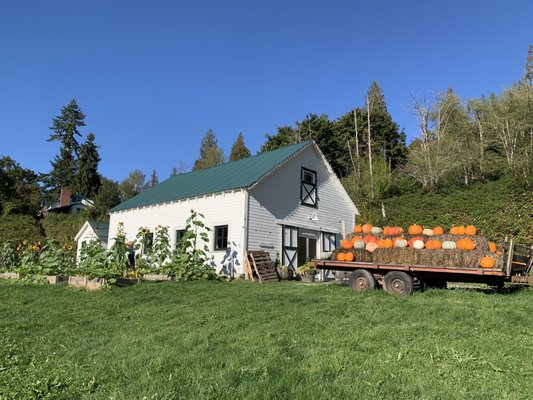 NOVELTY HILL FARM - Updated May 2026 - 46 Photos & 12 Reviews - 26617 ...