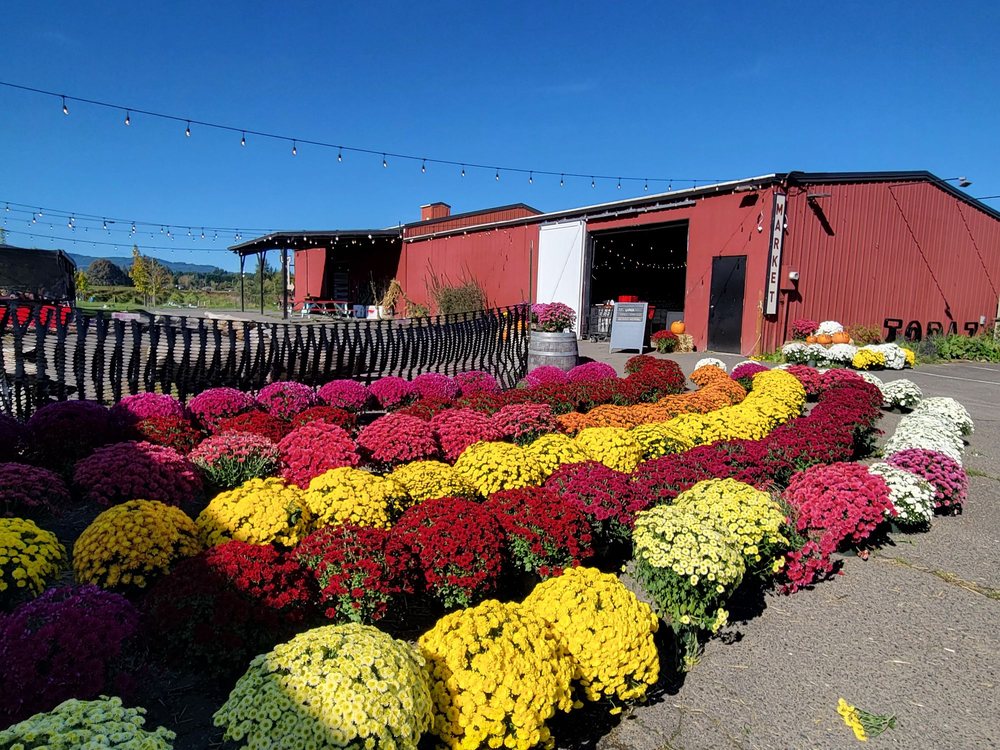 TOPAZ FARM - Updated July 2025 - 209 Photos & 60 Reviews - 17100 NW ...