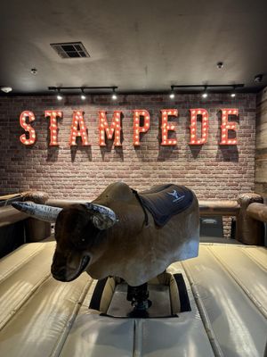 STAMPEDE - Updated November 2025 - 24 Photos & 35 Reviews - 1790 First ...