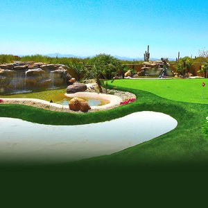 ARIZONA PROSCAPES - 28 Photos - Tucson, Arizona - Landscape Architects ...