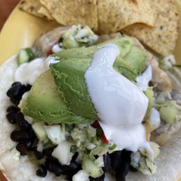 CACTUS TAQUERIA - Updated December 2024 - 313 Photos & 1117 Reviews ...