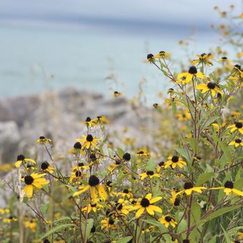 BENDER PARK - Updated December 2025 - 78 Photos & 16 Reviews - 4503 E ...