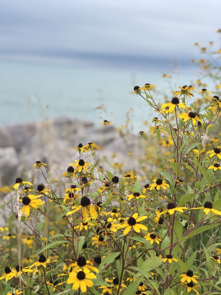 BENDER PARK - 60 Photos & 12 Reviews - Parks - 4503 E Ryan Rd, Oak ...