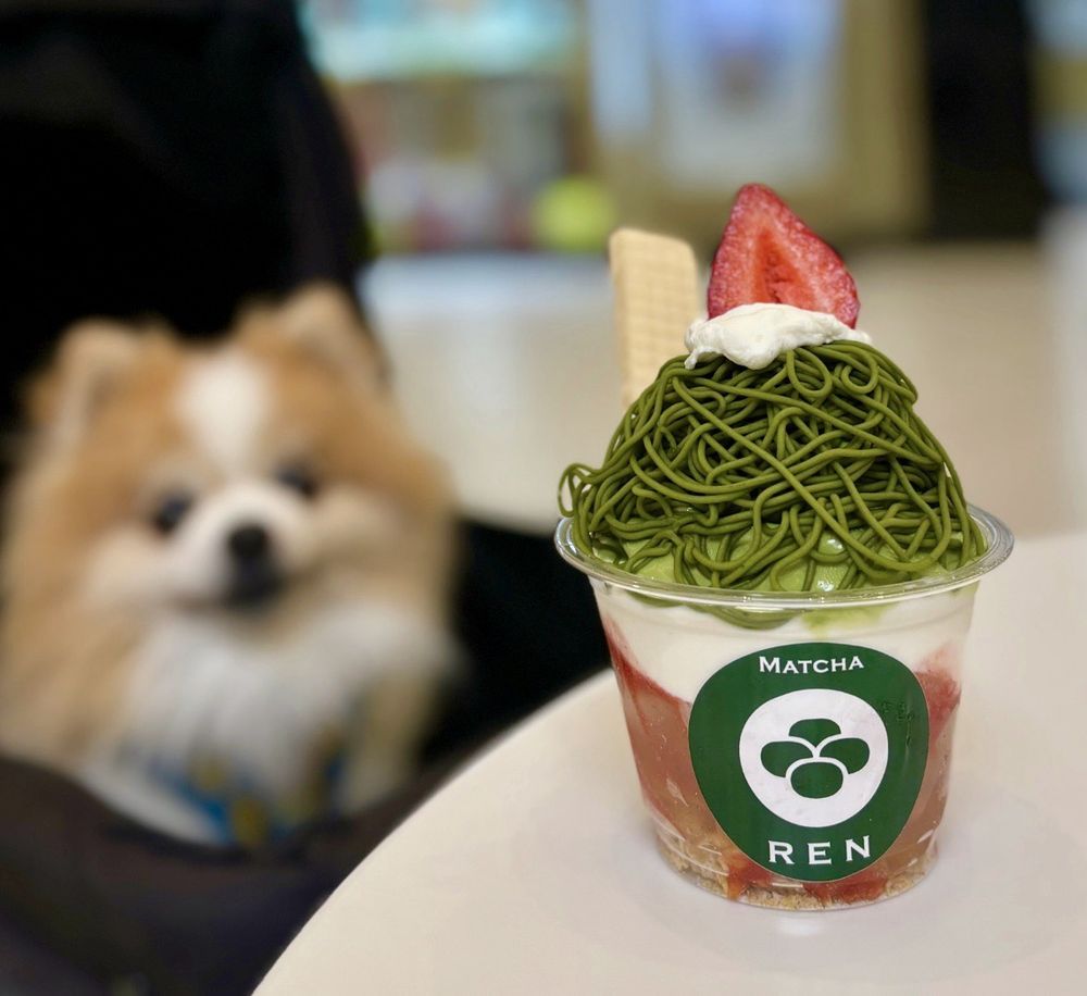 MATCHA REN - Updated January 2026 - 134 Photos & 48 Reviews - 3 ...