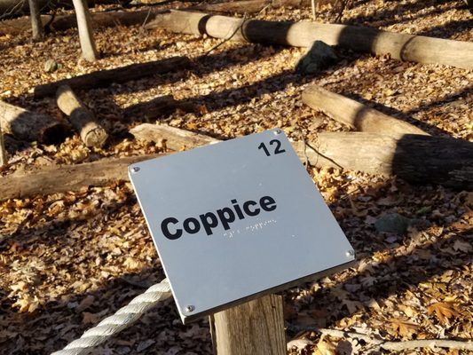 MASS AUDUBON BROAD MEADOW BROOK WILDLIFE SANCTUARY - 67 Photos & 13 ...