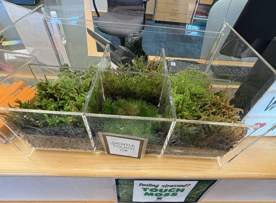 ANNE ARUNDEL COUNTY PUBLIC LIBRARY - CROFTON - Updated July 2025 - 20 ...