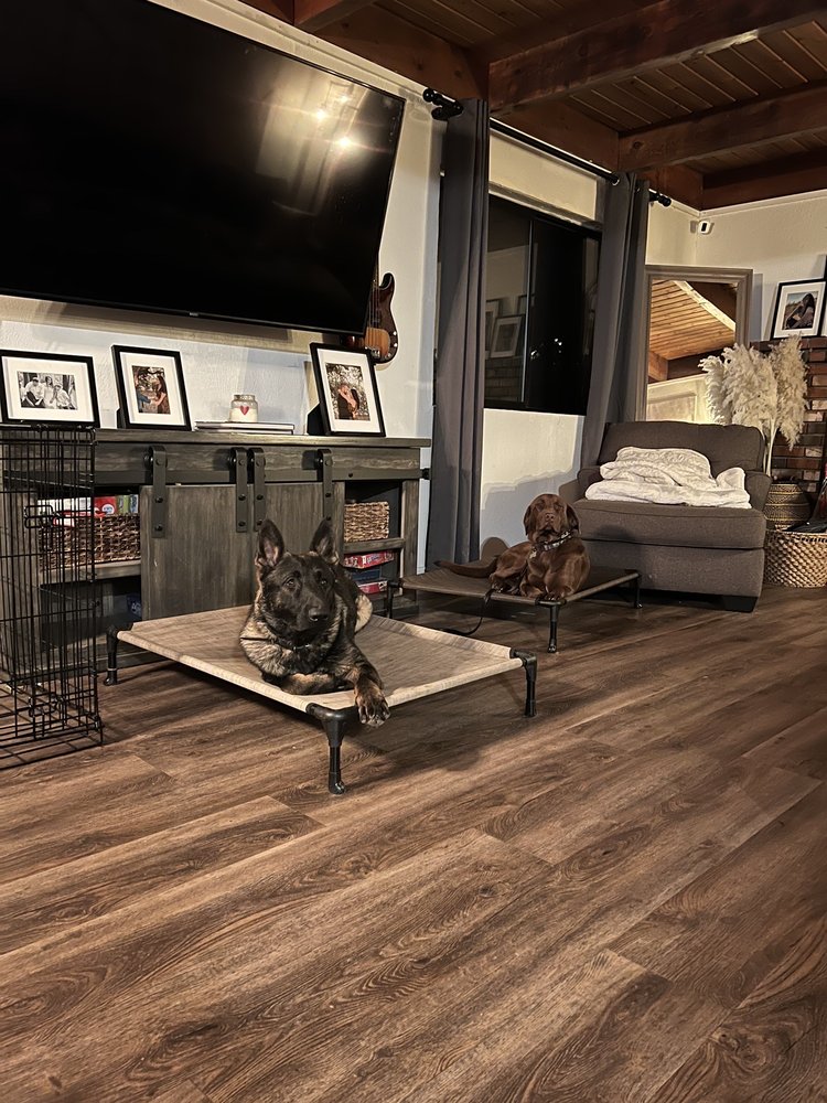 RHODE DOGZ - Updated July 2025 - 29 Photos - Wrightwood, California ...