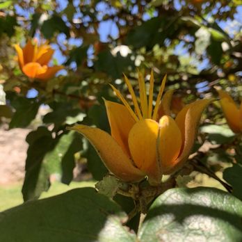 INDIAN ROCK PARK - 409 Photos & 235 Reviews - 950 Indian Rock Ave ...