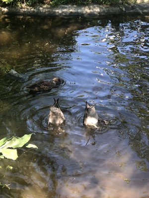 ZOO ECOMUSEUM - 96 Photos & 24 Reviews - 21125 Chemin Sainte-Marie ...