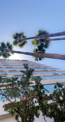 THE PERCH - Updated May 2025 - 21 Photos & 13 Reviews - 4300 E ...