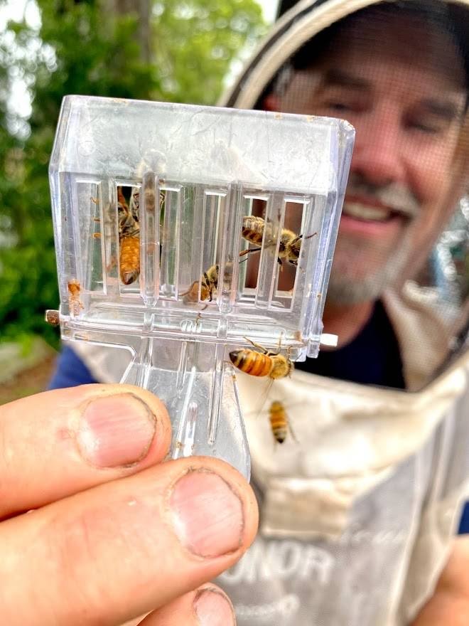 THE OTHER BEE GUY - Updated July 2024 - Request a Quote - 1203 Berwyn ...