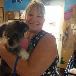 KPHO-TV CBS 5 - 24 Reviews - Television Stations - 5555 N 7th Ave ...