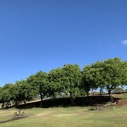 PATSY T. MINK CENTRAL OAHU REGIONAL PARK - 584 Photos & 98 Reviews - 94 ...