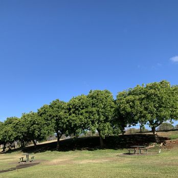 PATSY T. MINK CENTRAL OAHU REGIONAL PARK - Updated October 2025 - 704 ...