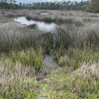 PRINCESS PLACE PRESERVE STATE PARK - Updated August 2025 - 78 Photos ...