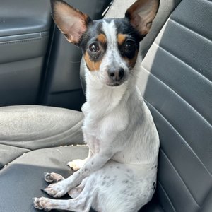 CATFE MONTCLAIR - Updated September 2025 - 32 Photos & 10 Reviews - 356 ...