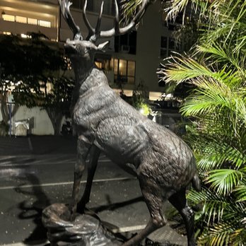 ELKS HONOLULU LODGE BPOE 616 - Updated March 2025 - 996 Photos & 199 ...