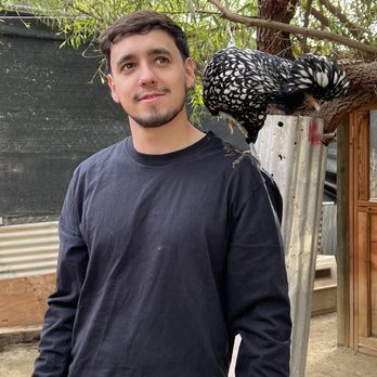 KFAR SABA URBAN FARM - Updated June 2024 - 351 Photos & 140 Reviews ...