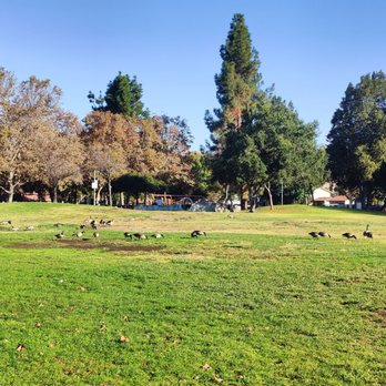 CATALDI PARK - Updated October 2025 - 240 Photos & 116 Reviews - 2900 ...