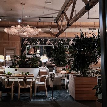 AMARA AT PARAISO - Updated December 2024 - 2347 Photos & 1006 Reviews ...