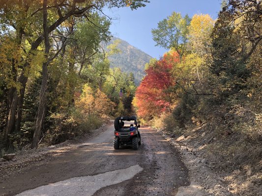 ROSE RANCH RESORT - Updated September 2024 - 40 Photos & 11 Reviews ...