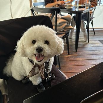 THE COTTAGE - Updated December 2024 - 874 Photos & 697 Reviews - 10029 ...