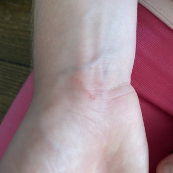 WINDKIST EQUESTRIAN CENTRE - Updated January 2026 - 15 Reviews - 125 ...