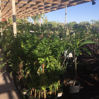 TREELAND NURSERIES - Updated October 2025 - 65 Photos & 77 Reviews ...