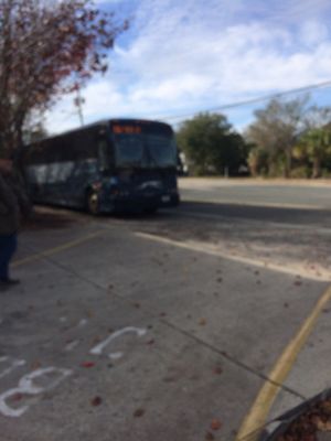 GREYHOUND BUS LINES - Updated December 2024 - 27 Photos - 511 7Th Ave N ...