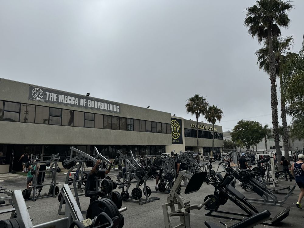 GOLD’S GYM - VENICE - Updated July 2024 - 199 Photos & 420 Reviews ...
