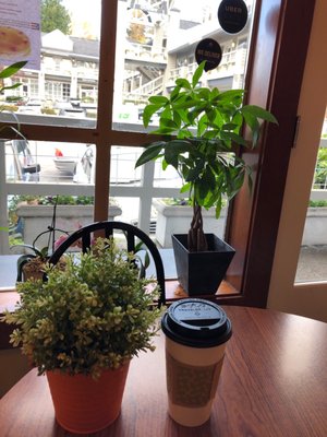 AROSA CAFE - 95 Photos & 113 Reviews - 3121 E Madison St, Seattle, WA ...