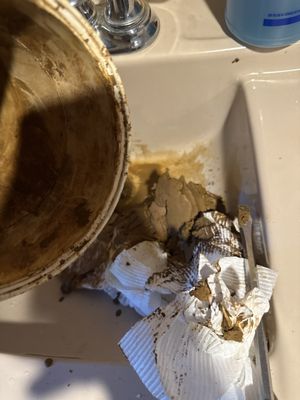 RADATA - Updated December 2025 - 31 Photos & 39 Reviews - 27 Ironia Rd ...