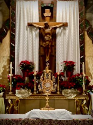 ST THOMAS AQUINAS CATHEDRAL - Updated December 2025 - 68 Photos - 310 W ...