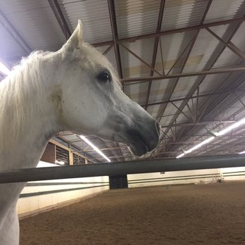 SUMMIT RANCH EQUINE CENTER - Updated January 2026 - 65 Photos & 13 ...