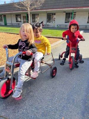 THE LEARNING TREE - Updated January 2026 - 134 Photos & 28 Reviews ...