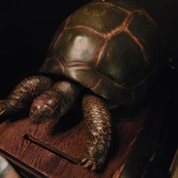 TORTOISE SUPPER CLUB - Updated April 2025 - 785 Photos & 745 Reviews ...