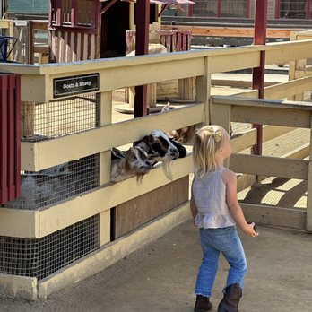 RIVER STREET RANCH - Updated January 2025 - 1029 Photos & 767 Reviews ...