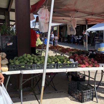 Traders Village - 183 Photos & 105 Reviews - Flea Markets - 7979 N ...