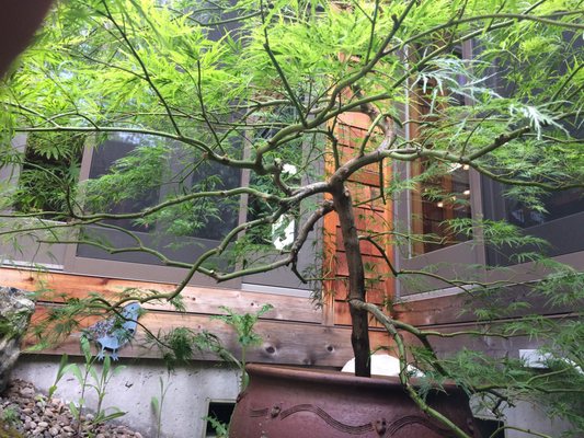 GOOD BLOKE TREE CARE - Updated September 2025 - 12 Photos - Central ...